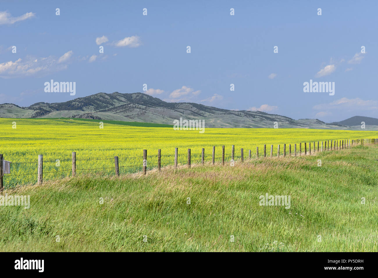 Alberta crops hi-res stock photography and images - Alamy