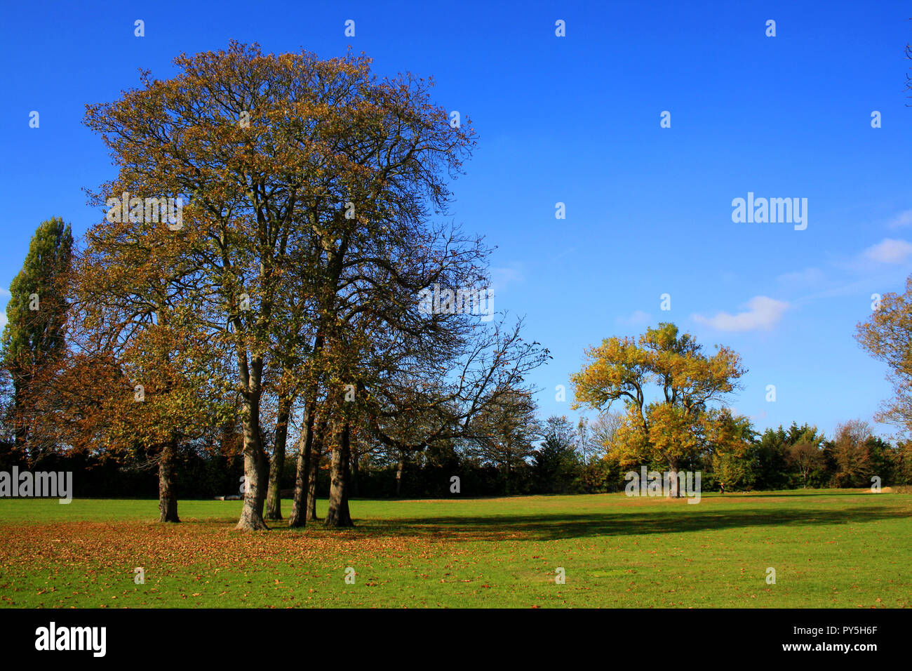 Redbridge, East London, UK. 25th October 2018. A sunny, blue sky day at ...