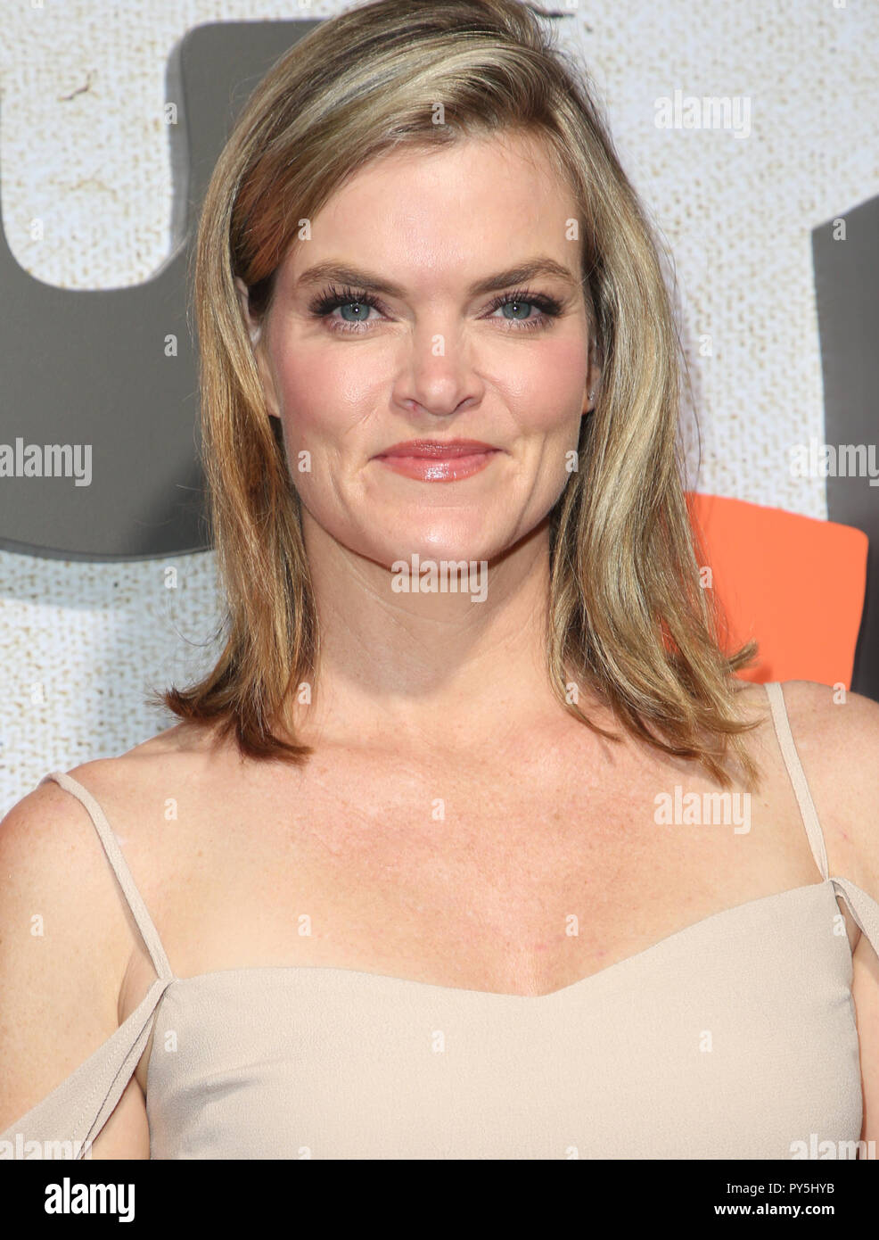LOS ANGELES, CA - OCTOBER 24: Missi Pyle at the Los Angeles Premiere of ...