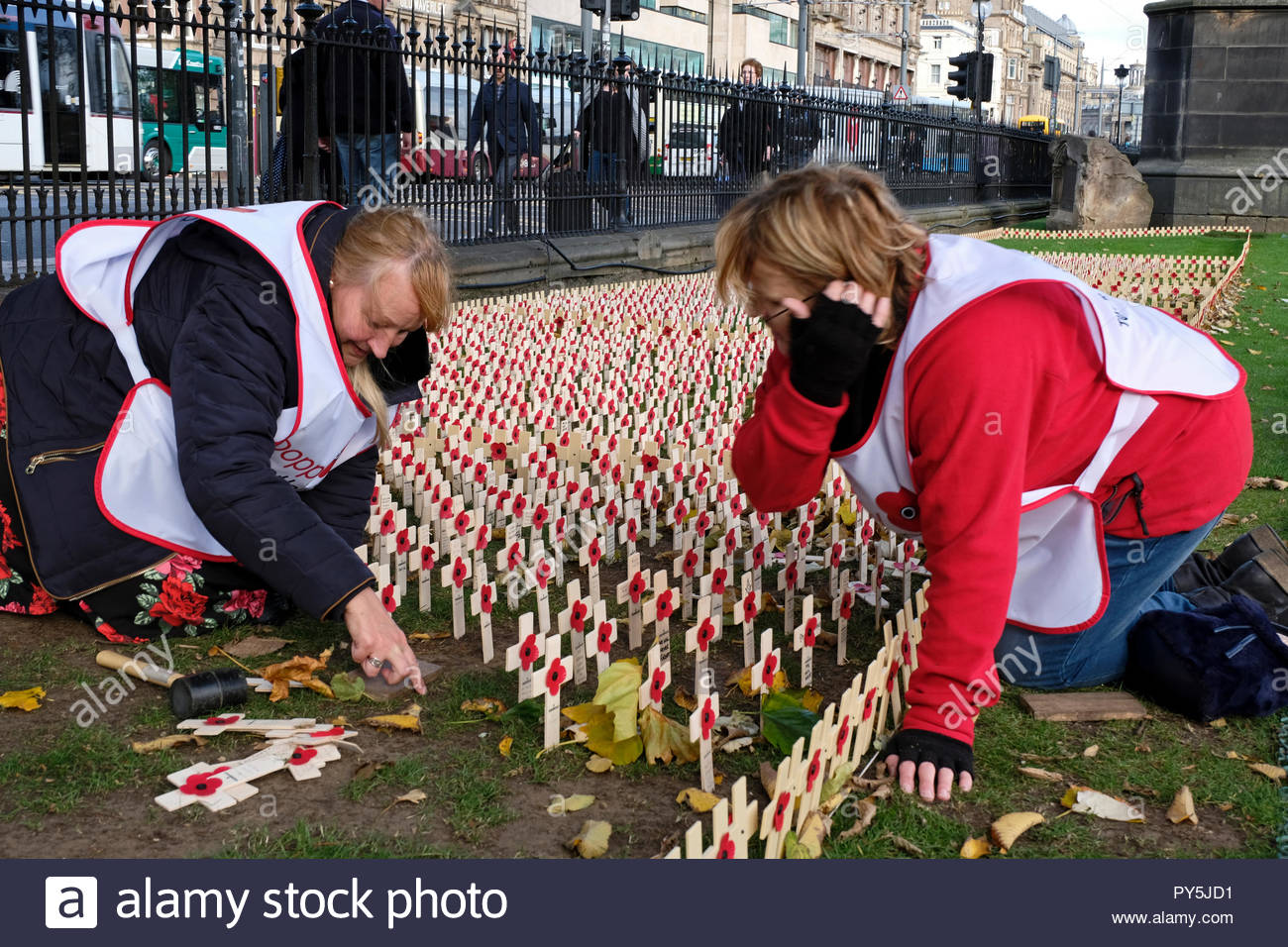 Poppy scotland volunteer hi-res stock photography and images - Alamy