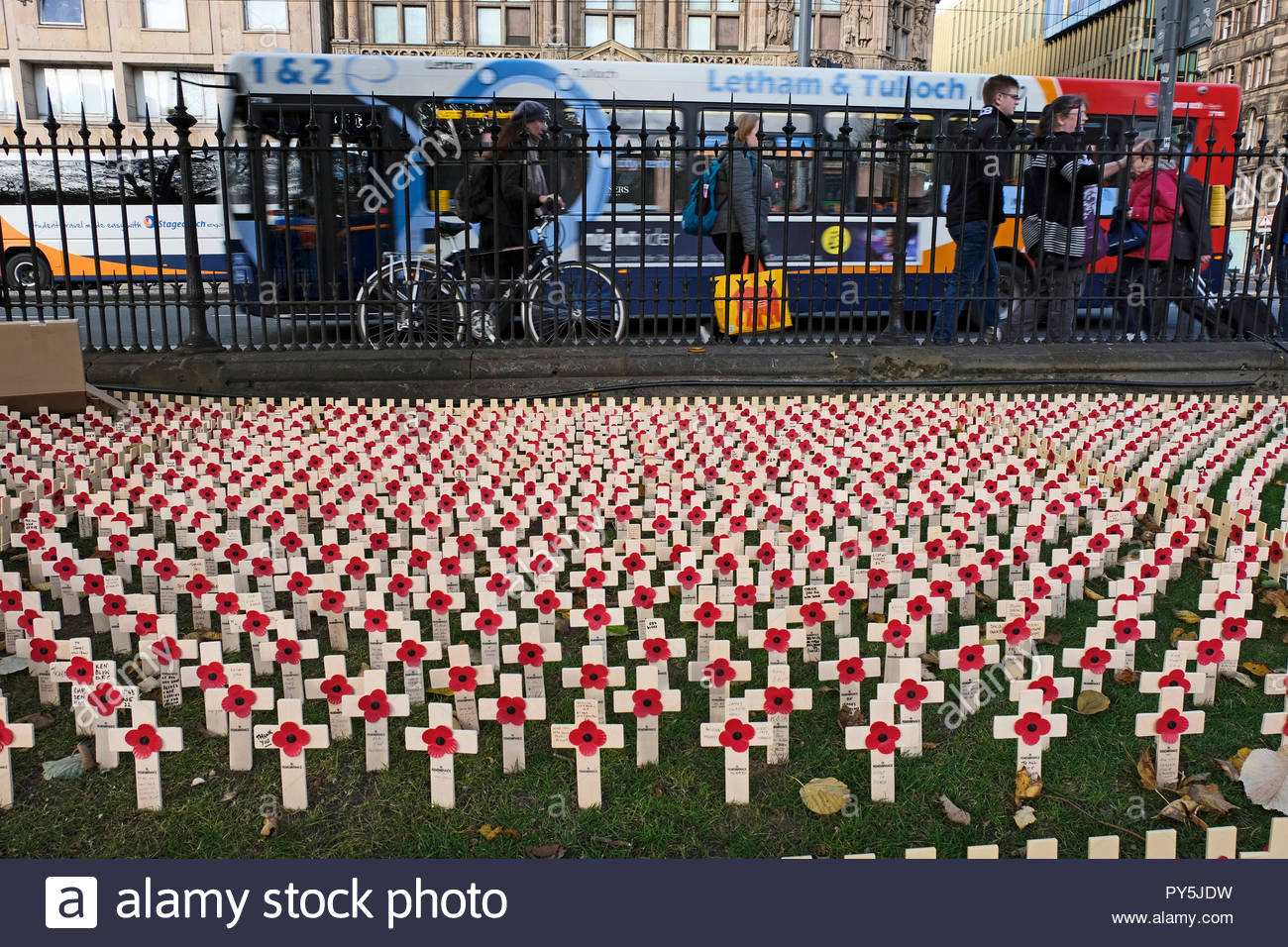 Poppies remembrance day hi-res stock photography and images - Alamy