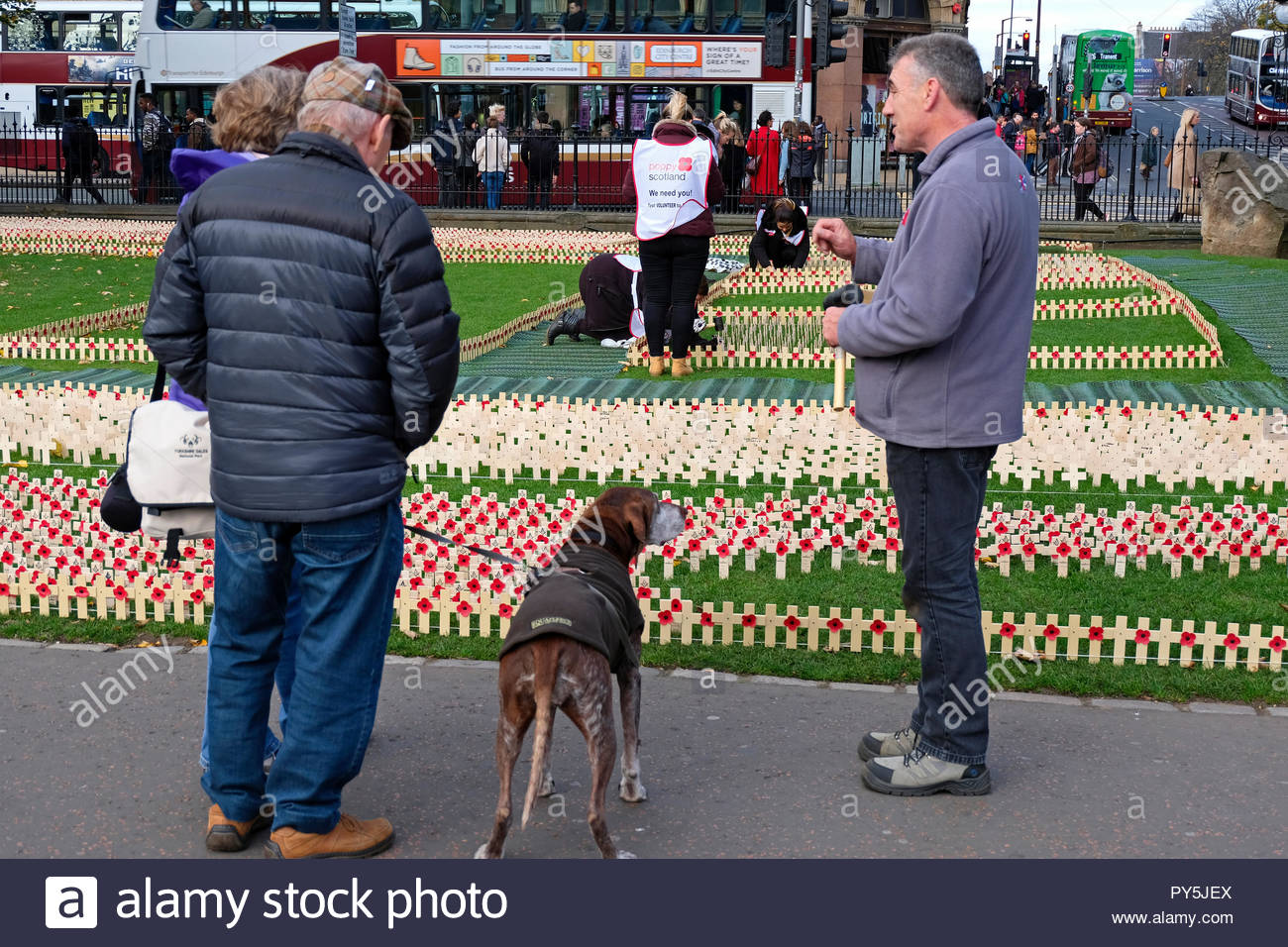 Poppy scotland volunteer hi-res stock photography and images - Alamy