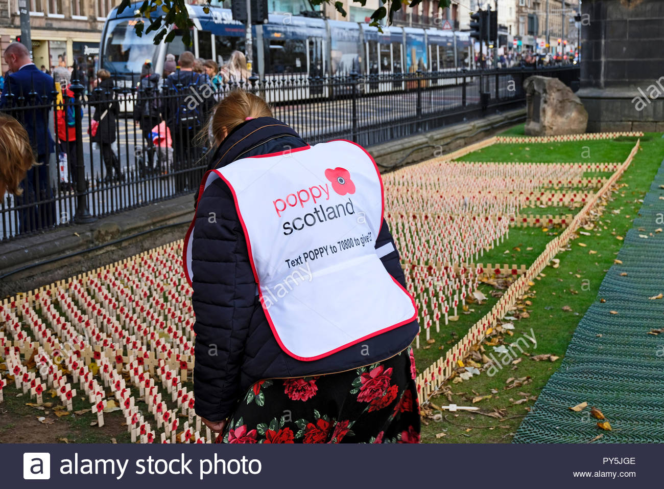 Poppy scotland volunteer hi-res stock photography and images - Alamy