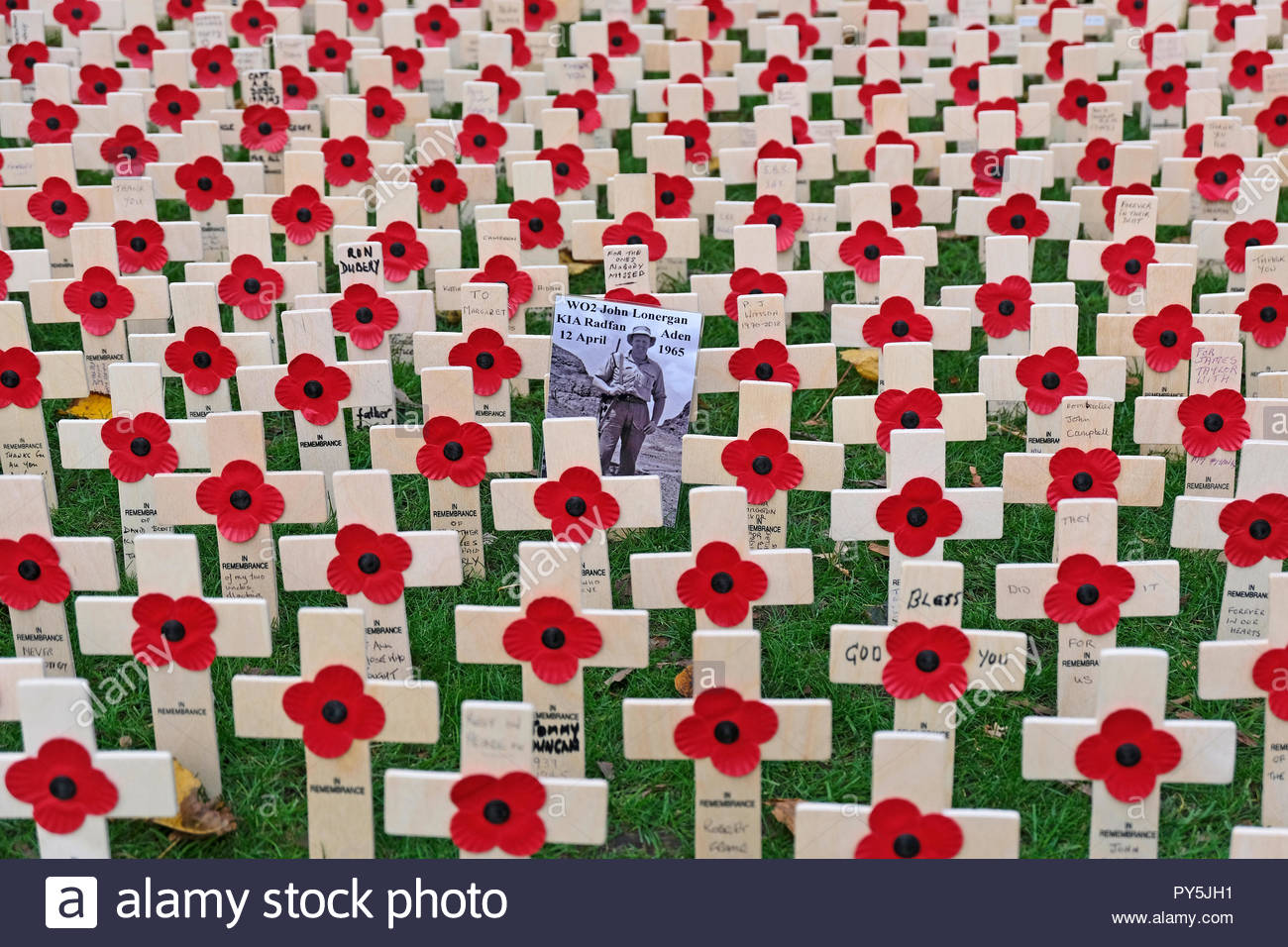 Scottish remembrance poppy hi-res stock photography and images - Alamy