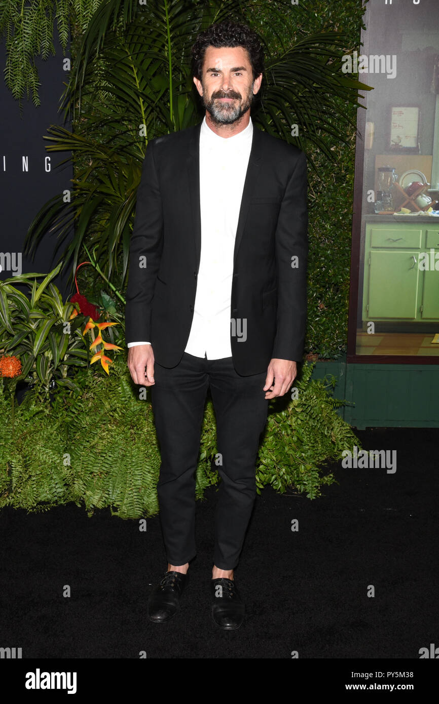 October 24, 2018 - CHAD HAMILTON arrives at the Premiere of Amazon ...