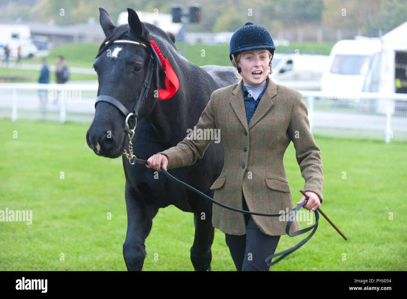 Builth Wells, Powys, Wales, UK. 26th October, 2018. Welsh Pony Cob ...
