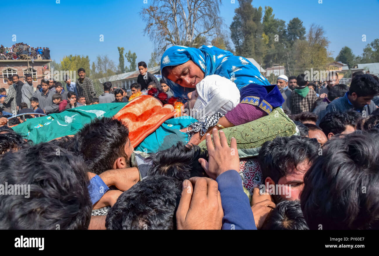 Weeping falls hi-res stock photography and images - Alamy