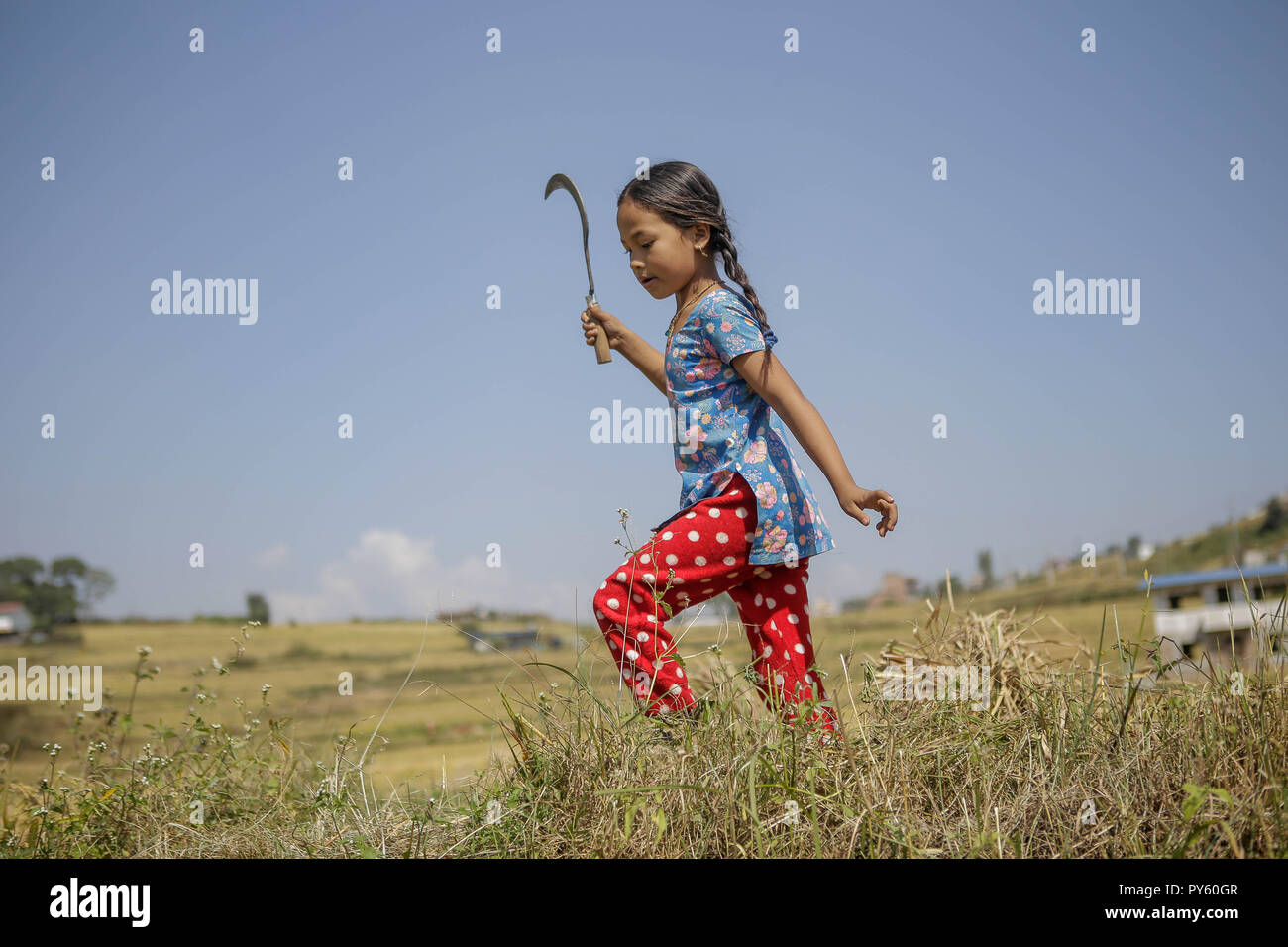 Children running in rice field hi-res stock photography and images - Alamy