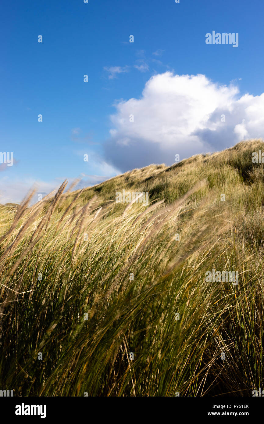 Broughton bay on north gower hi-res stock photography and images - Alamy