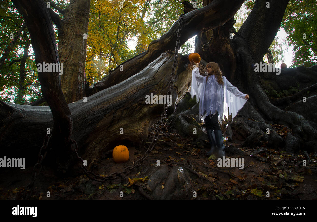 Woman chained to a tree hi-res stock photography and images - Alamy