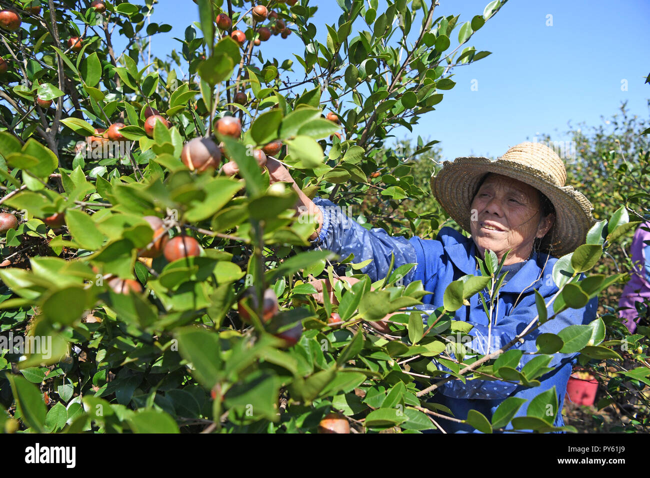 Suoshi hi-res stock photography and images - Alamy