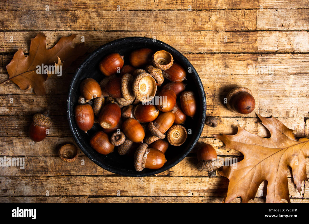 Acorns on a rustic wooden table top view Stock Photo - Alamy