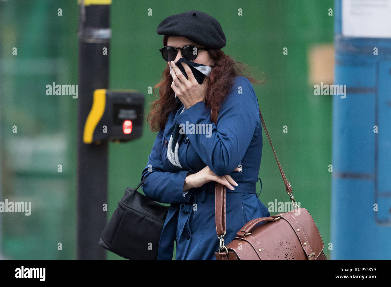Alleged neo nazi claudia hi-res stock photography and images - Alamy