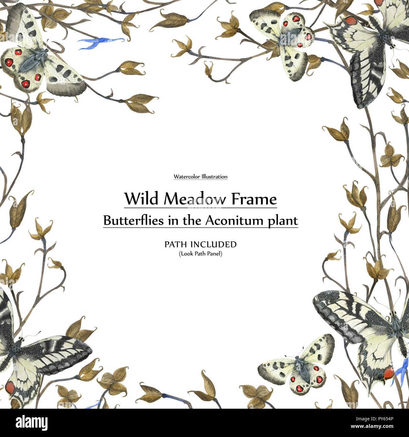 Nature design by watercolor. Butterflies and plants square frame ...