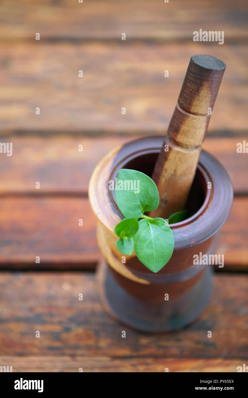 Herb grinder with herbs. Mortar and pestle Stock Photo - Alamy