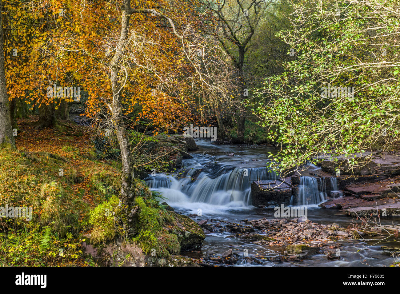 Pont cwm y fedwen waterfall hi-res stock photography and images - Alamy