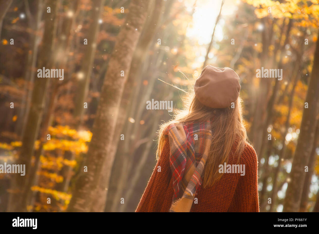 Young girl in autumn season in the park, back shot of a girl with scarf ...