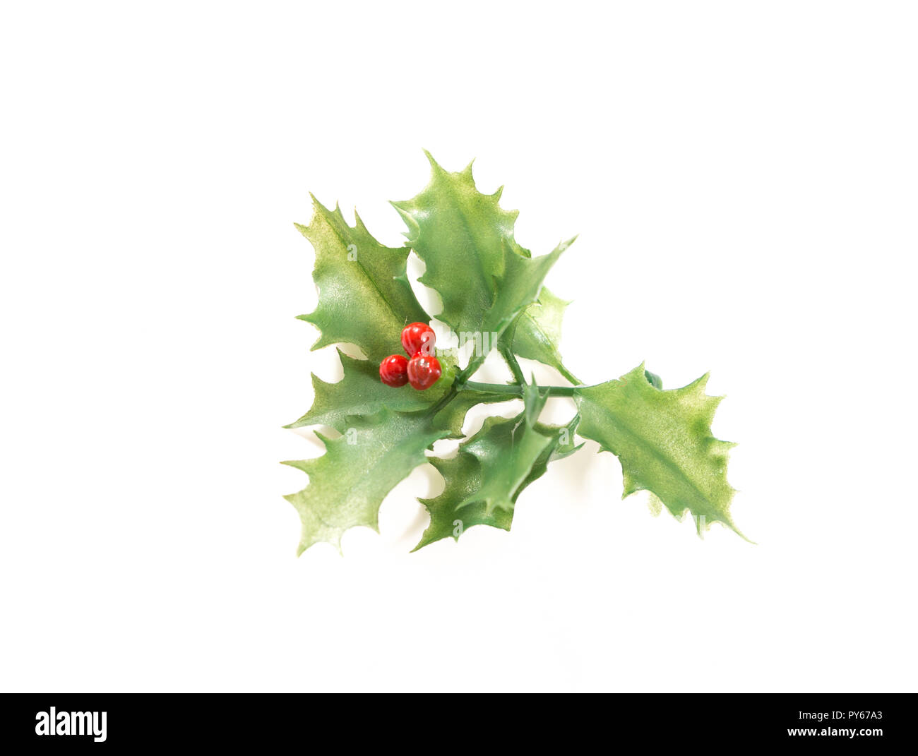 Holly branch hi-res stock photography and images - Alamy