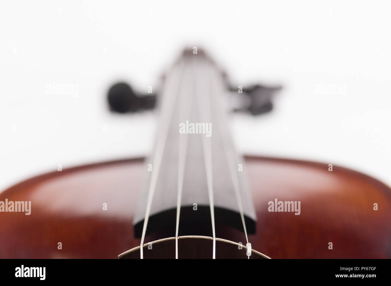 violin body parts perspective on a white background Stock Photo - Alamy