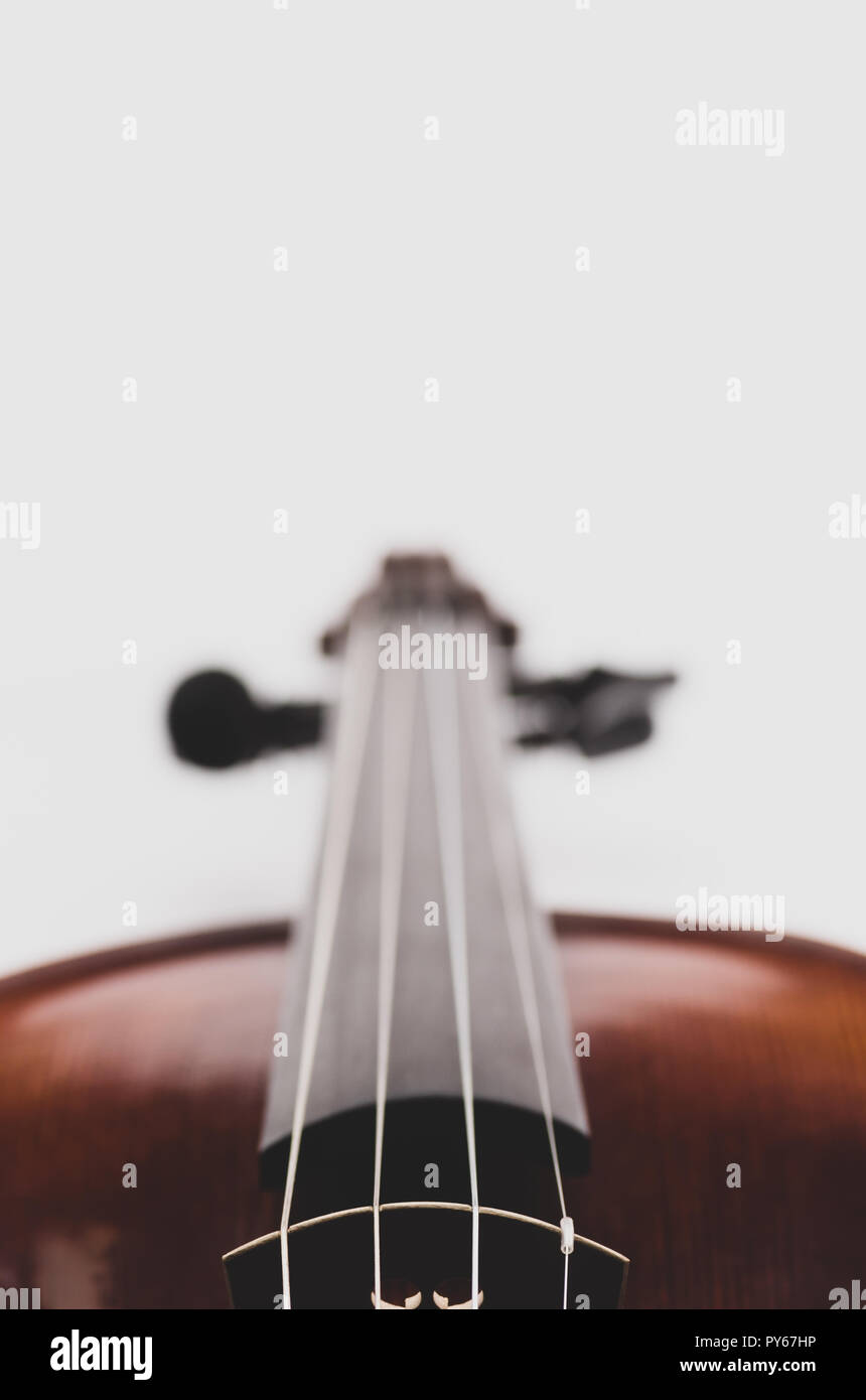 violin body parts perspective on a white background Stock Photo - Alamy