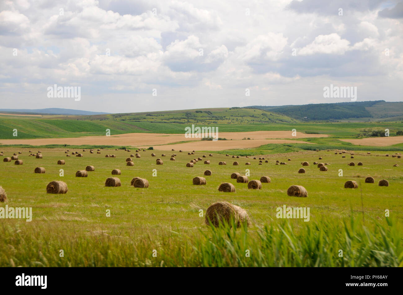 Moldova countryside hi-res stock photography and images - Alamy