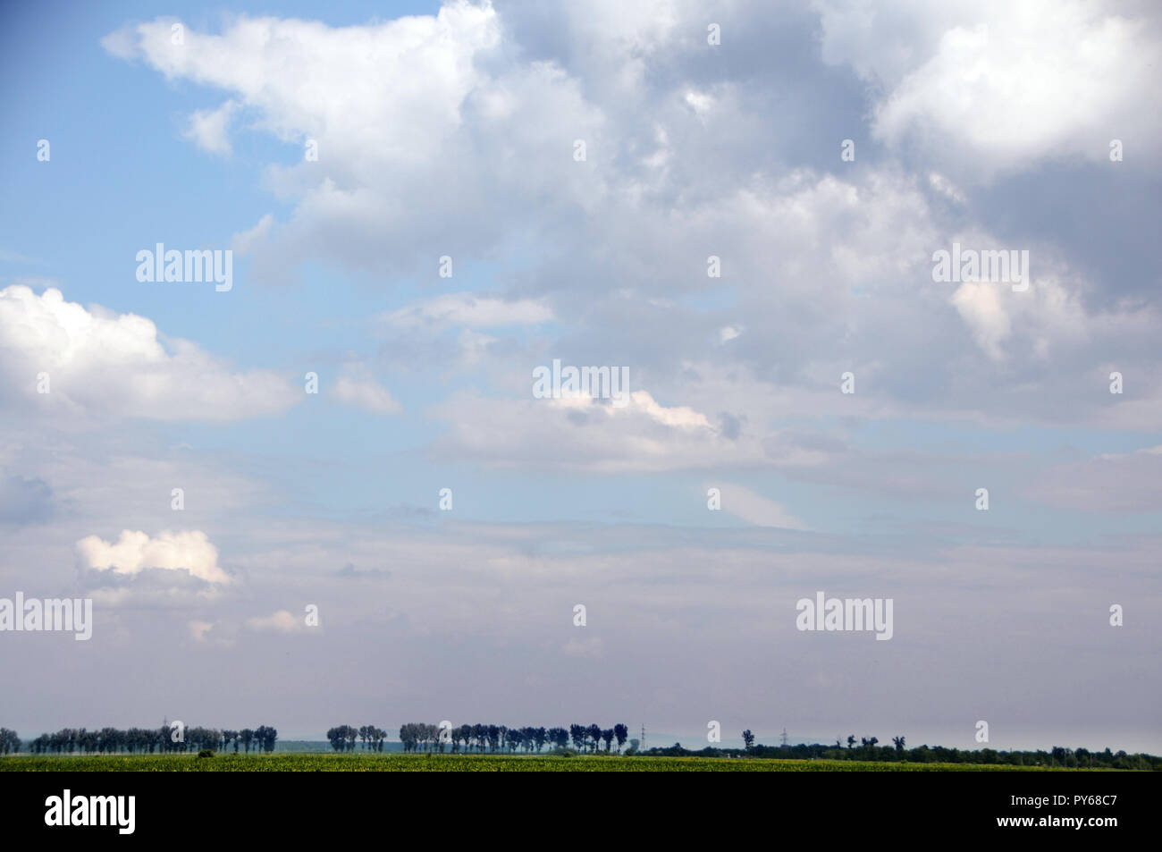 Beautiful treescape hi-res stock photography and images - Alamy