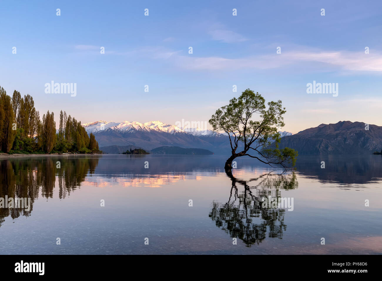 My Wanaka tree. A popular photo spot in Wanaka, New Zealand Stock Photo ...