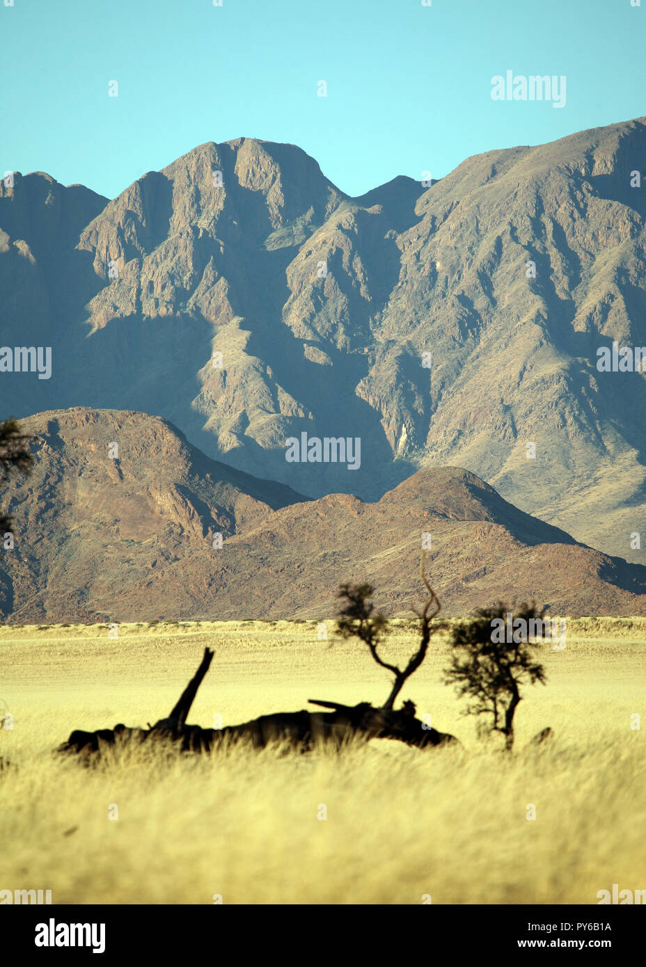 Arid Grassland High Resolution Stock Photography and Images - Alamy