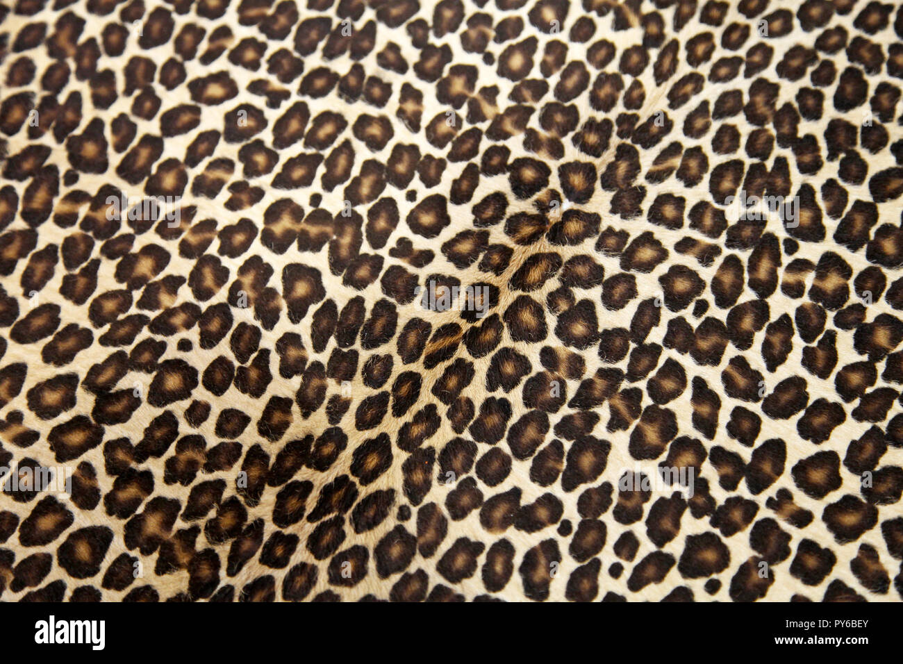 Safari style leopard hide pattern Stock Photo - Alamy
