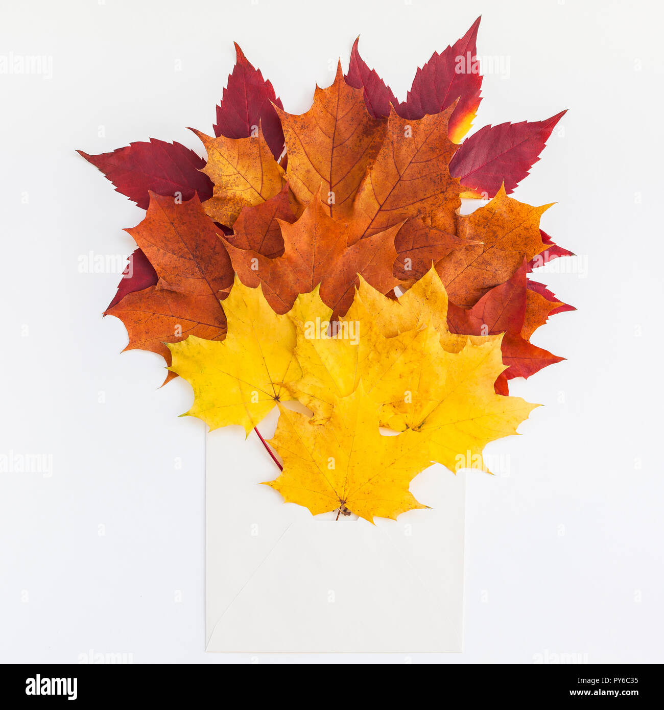 Creative Top view flat lay autumn concept composition. Envelope dried ...