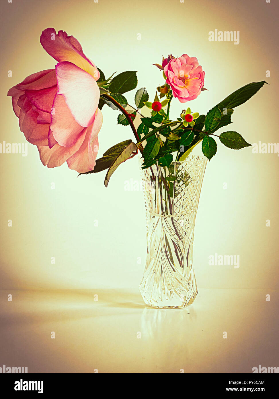 FLORAL DISPLAY: English Rose Stock Photo - Alamy