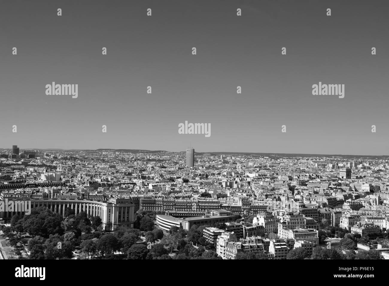 Above view birds Black and White Stock Photos & Images - Alamy