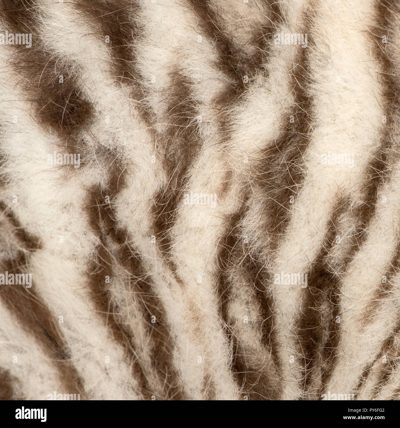 Macro of a White tiger fur Stock Photo - Alamy