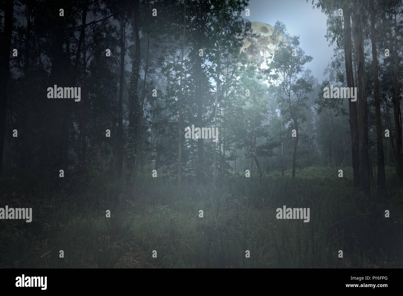 Full moon rising behind tree hi-res stock photography and images - Alamy
