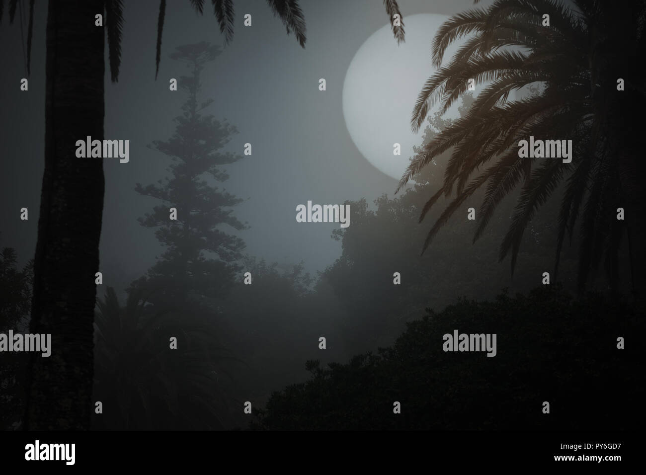 Night mysteries hi-res stock photography and images - Alamy