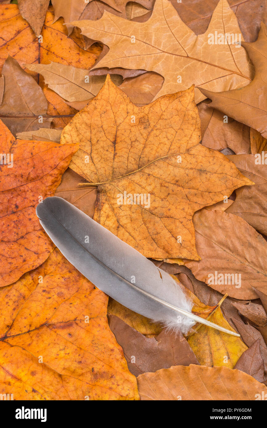 Retirement metaphor hi-res stock photography and images - Alamy