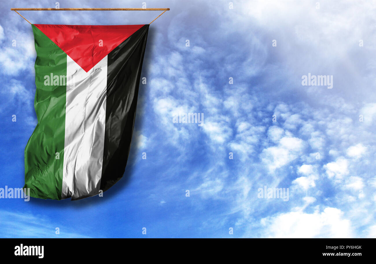 Flag of Palestine. Vertical flag, against blue sky with place for your ...
