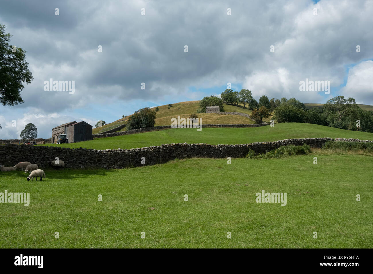Swaledale farm land Stock Photo - Alamy