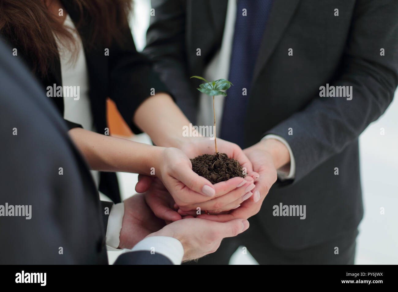 Nurturing career hi-res stock photography and images - Alamy