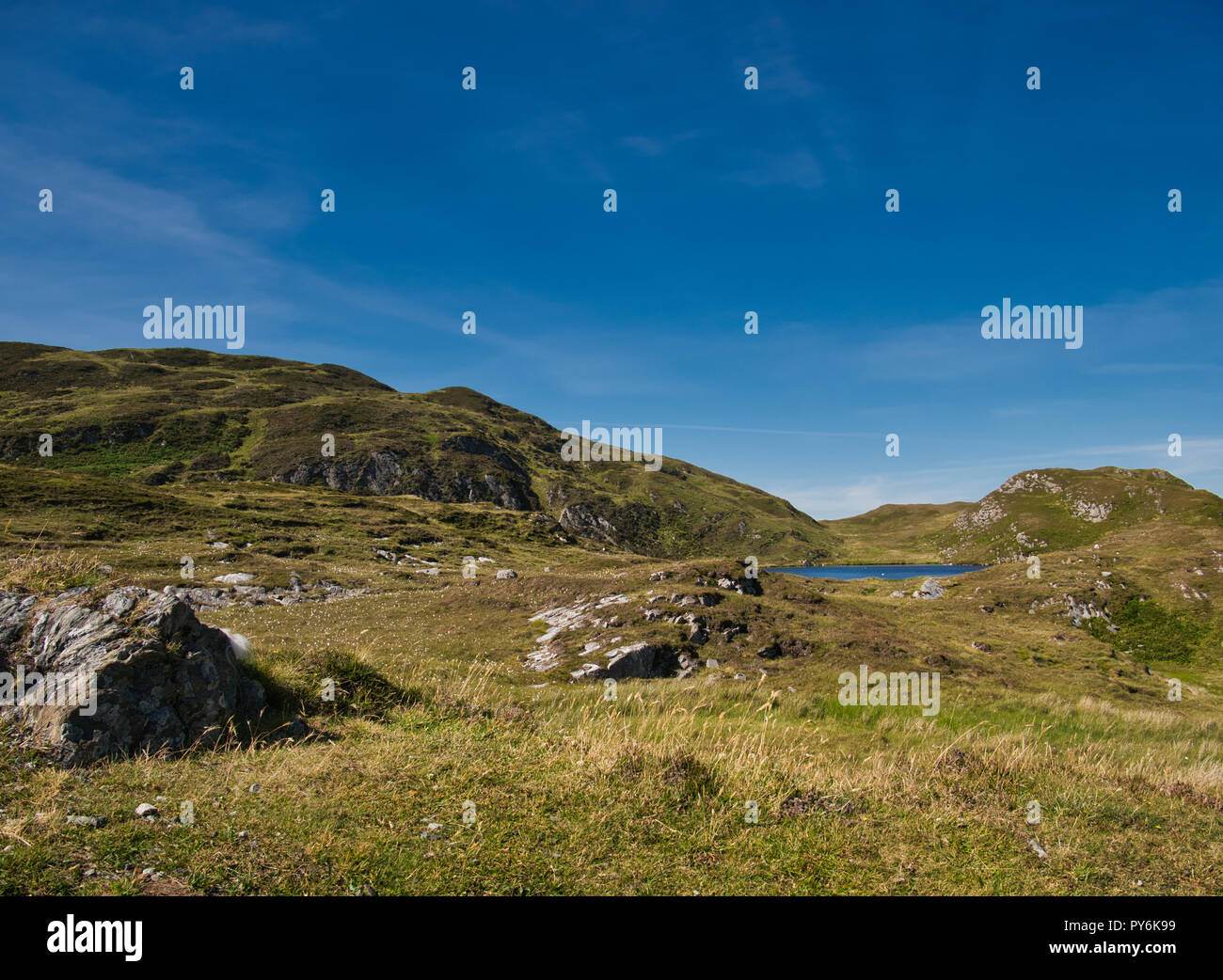 Bunglass High Resolution Stock Photography and Images - Alamy