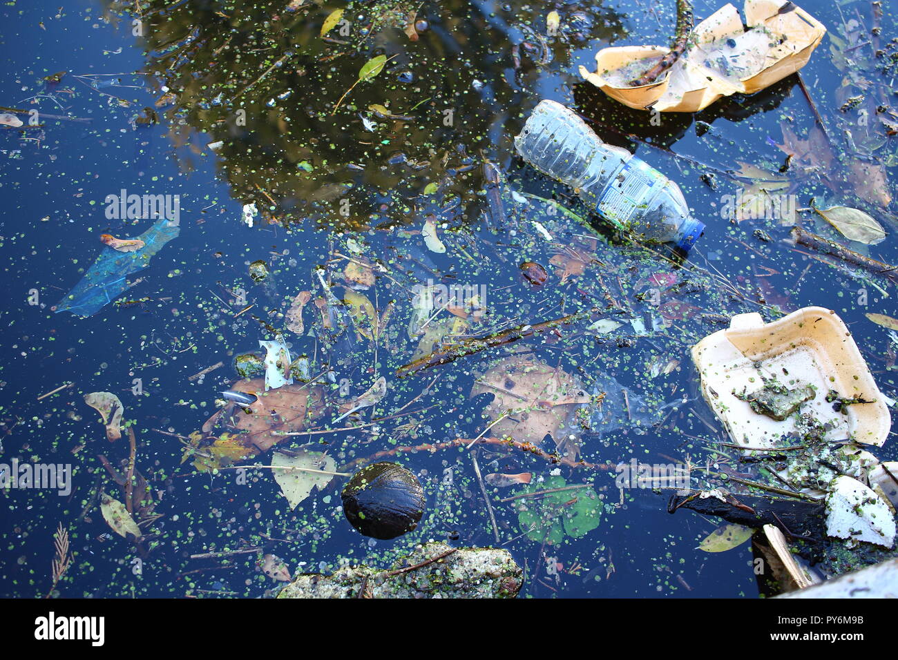 Coast of river polluted with plastic Stock Photo - Alamy