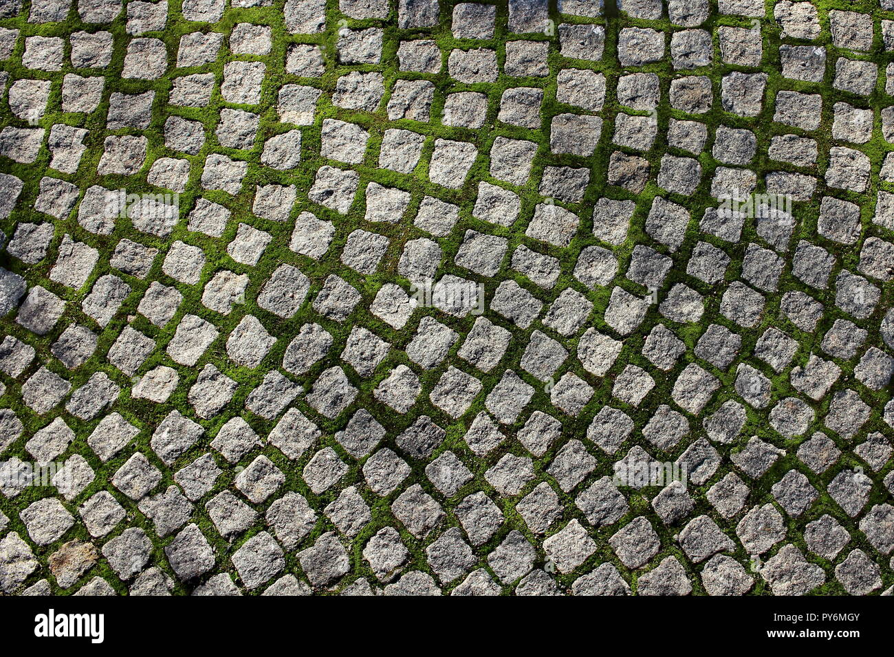 Paving stone moss hi-res stock photography and images - Alamy