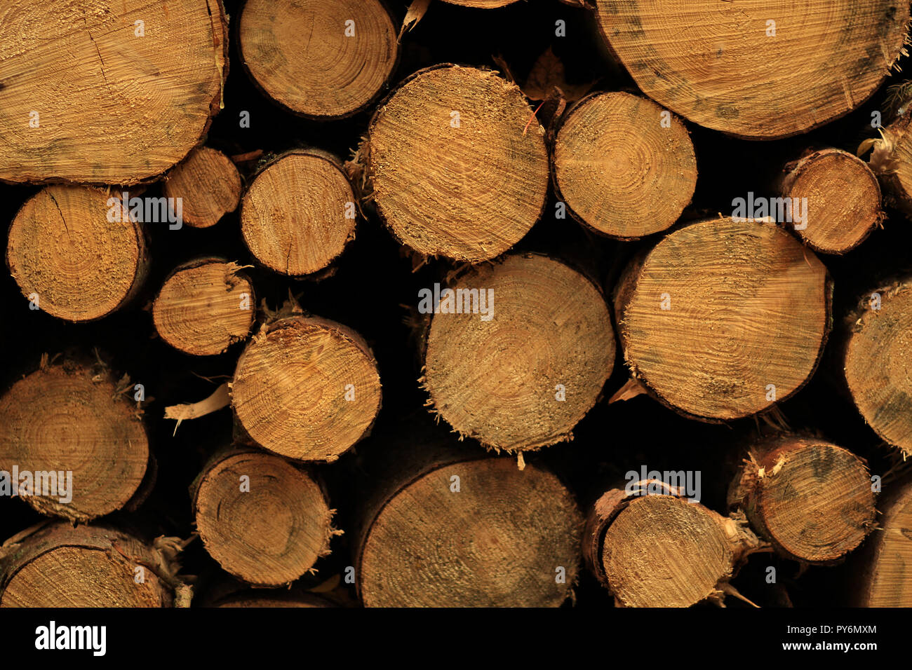 Stacked log (frontal view Stock Photo - Alamy