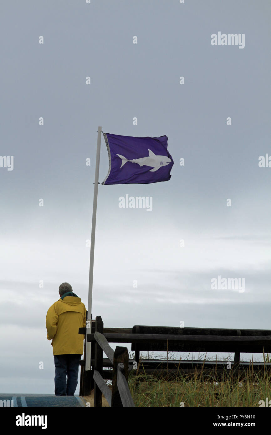 Shark warning flag hi-res stock photography and images - Alamy