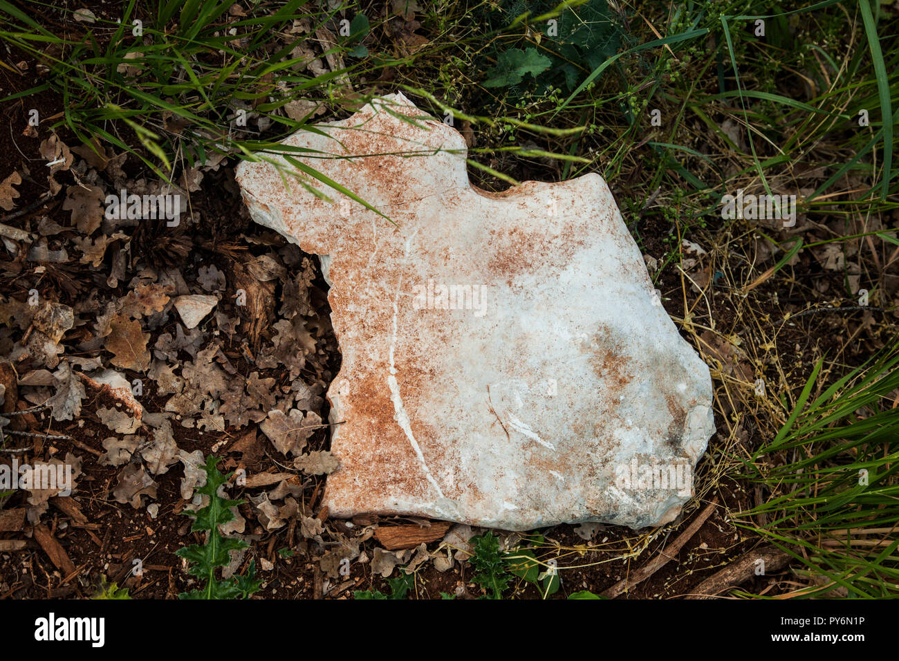 Image of a stone in shape of an animal Stock Photo - Alamy