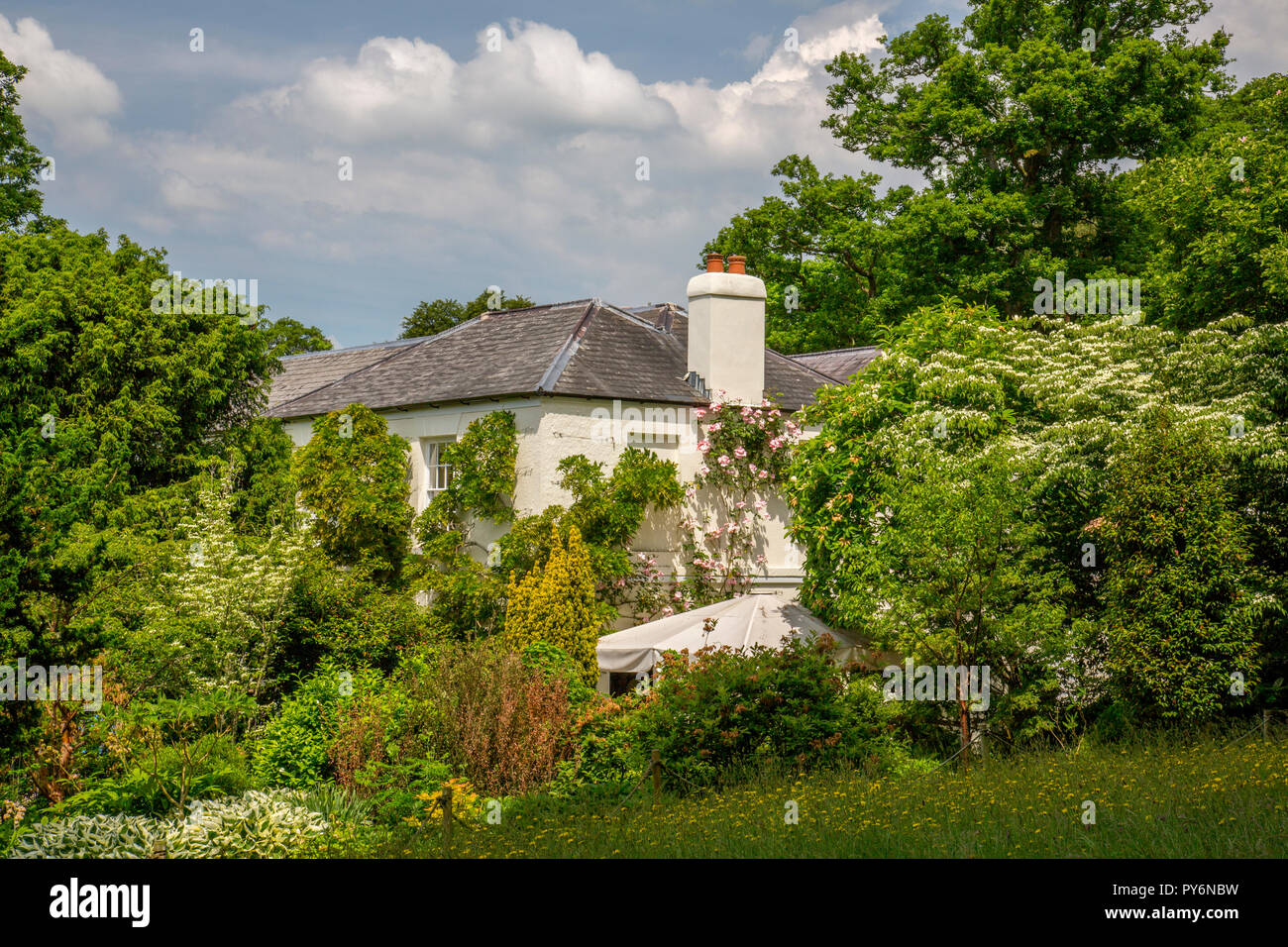 A colourful mix of summer flowers and foliage surrounding Lady Anne's ...