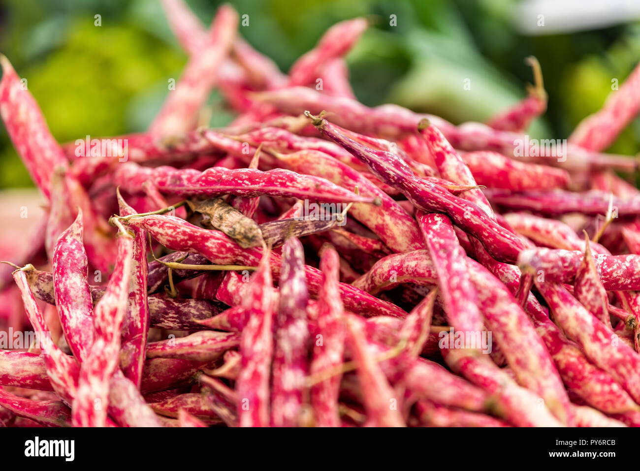 Spotted shells hi-res stock photography and images - Alamy