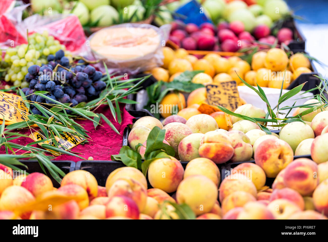 Grapes rome hi-res stock photography and images - Alamy