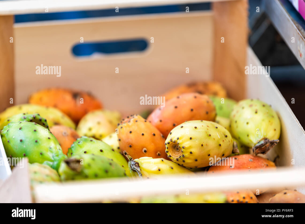 Prickly box hi-res stock photography and images - Alamy