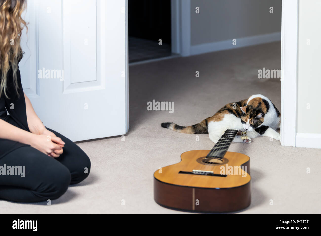 Female, woman owner, person sitting on carpet floor, lying calico cat ...